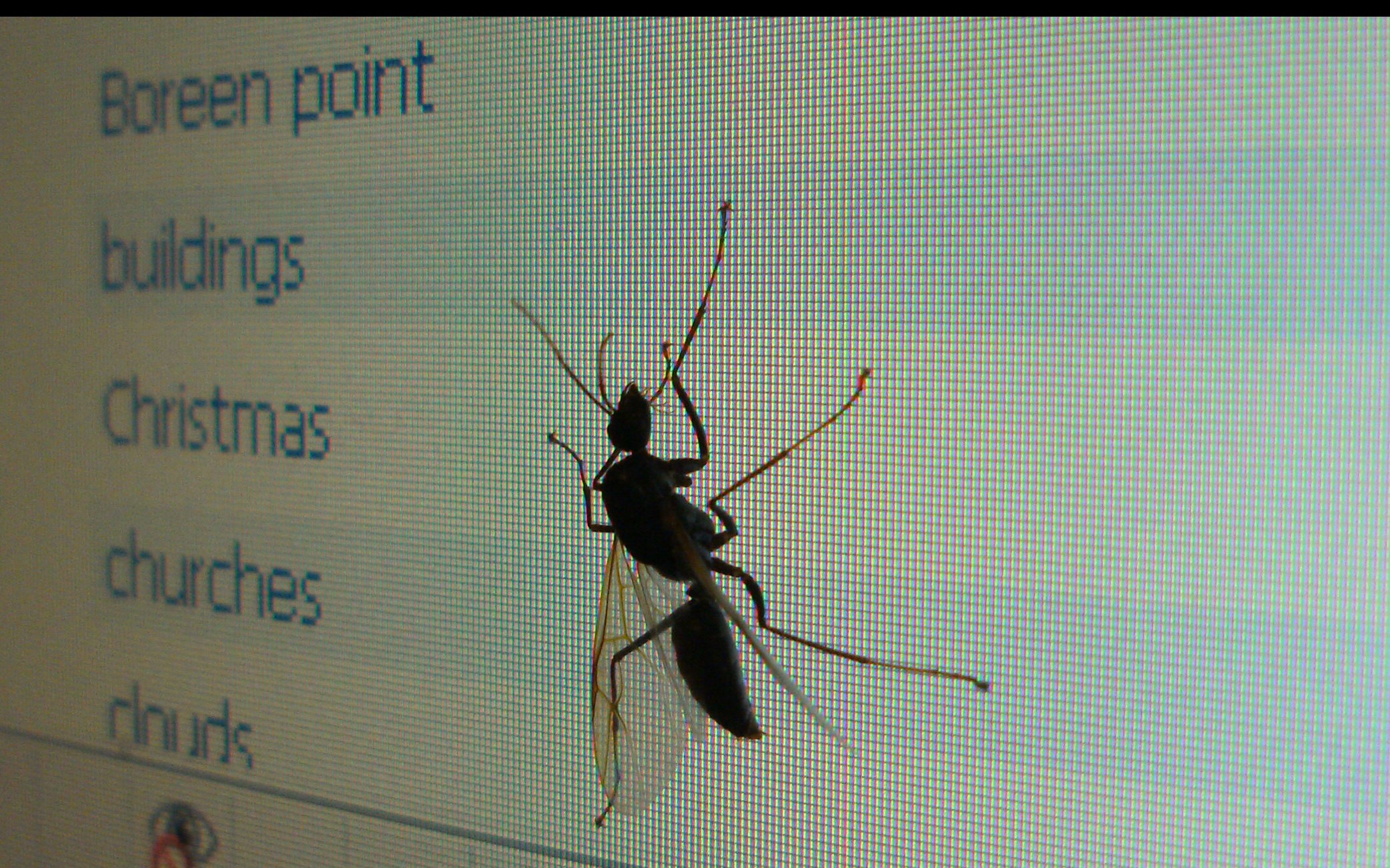 27 Tips for Finding Bugs on Your Website - DZone