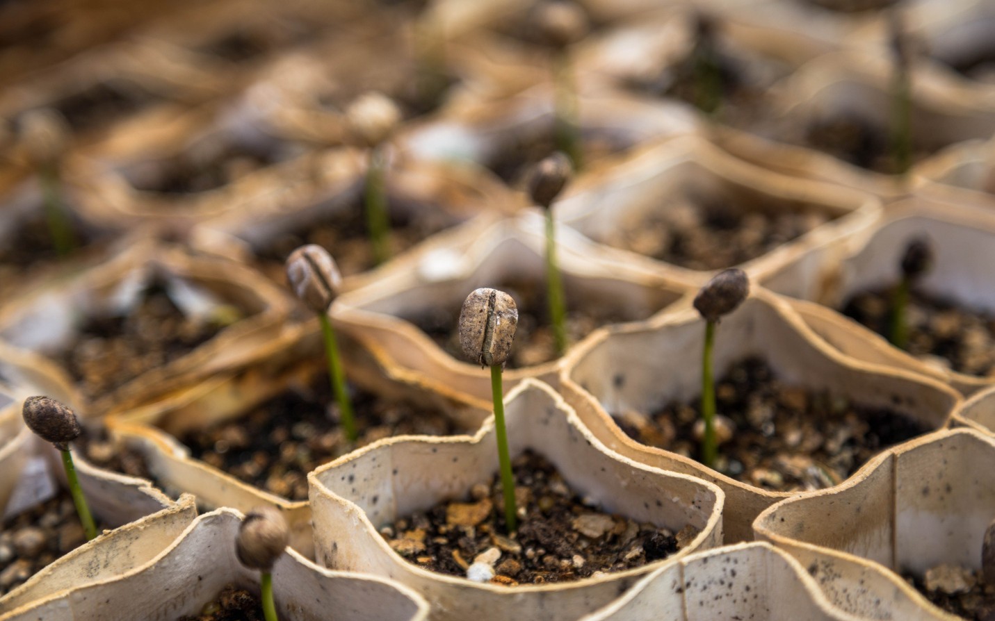 Five Reasons Why a Seedbox Is a Practical Alternative to VPN - DZone