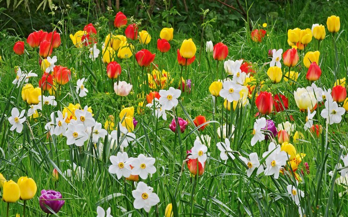 Introduction To Spring Boot And Jdbctemplate Introduction