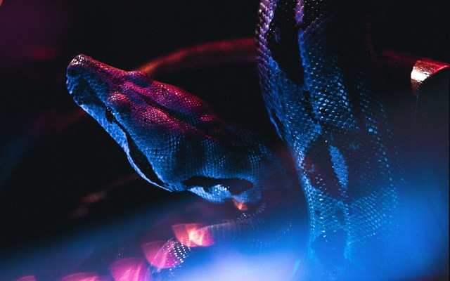 Python and Automation: A Perfect Combo - DZone